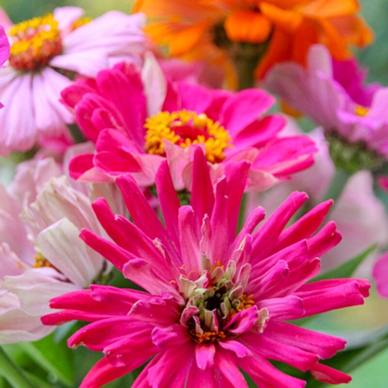 LITTLE PROJECTS – Page 2 – Laundry Basket Quilts